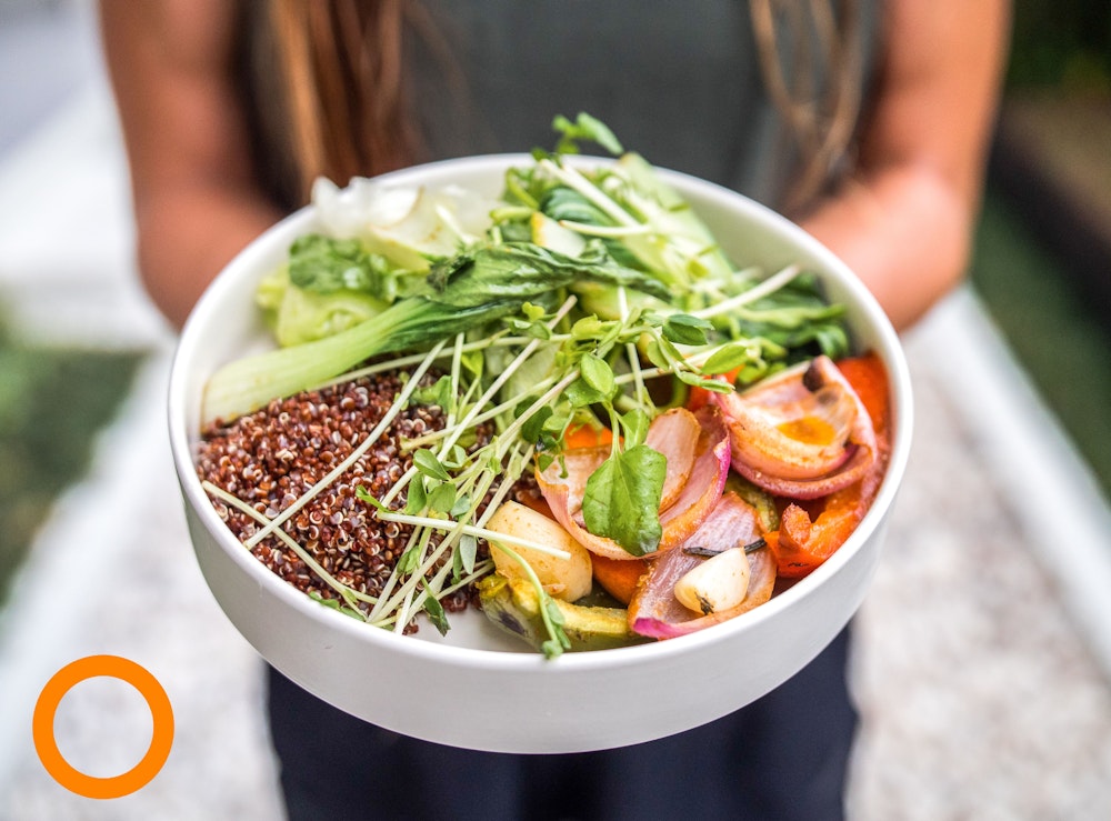 Is de Schijf for Life het perfecte plantaardige alternatief?