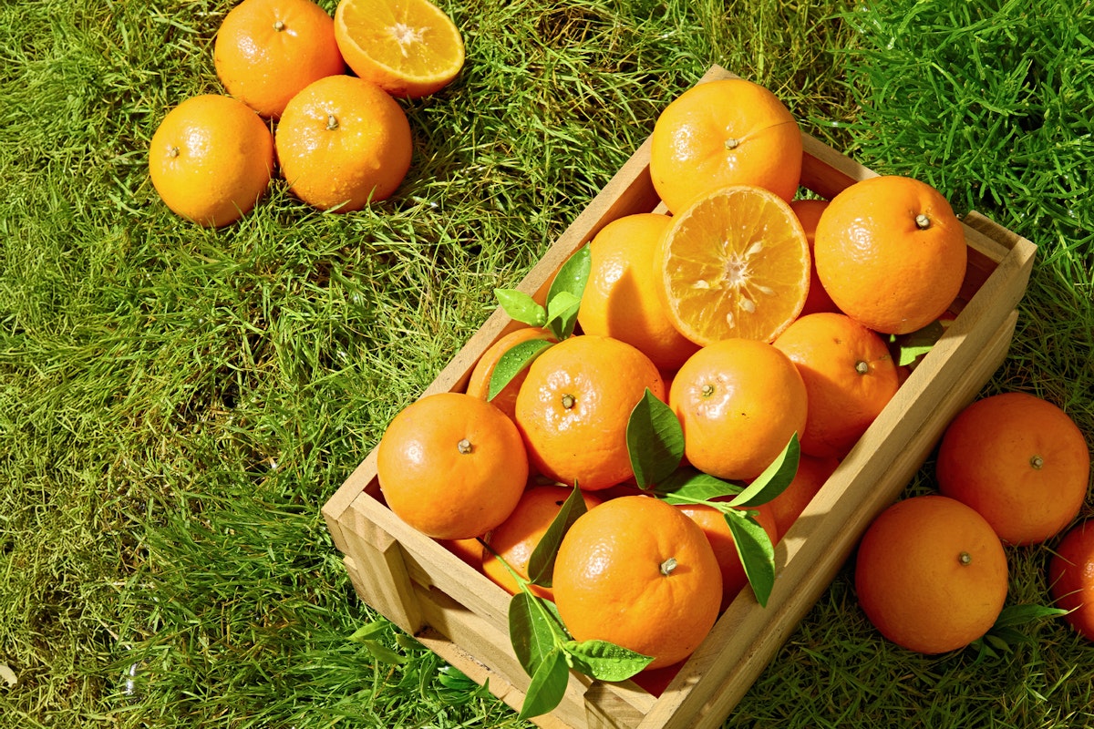Wat is het beste fruit om af te vallen?